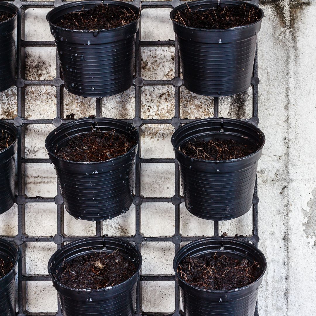 Pots & Systems – Hemp Culture