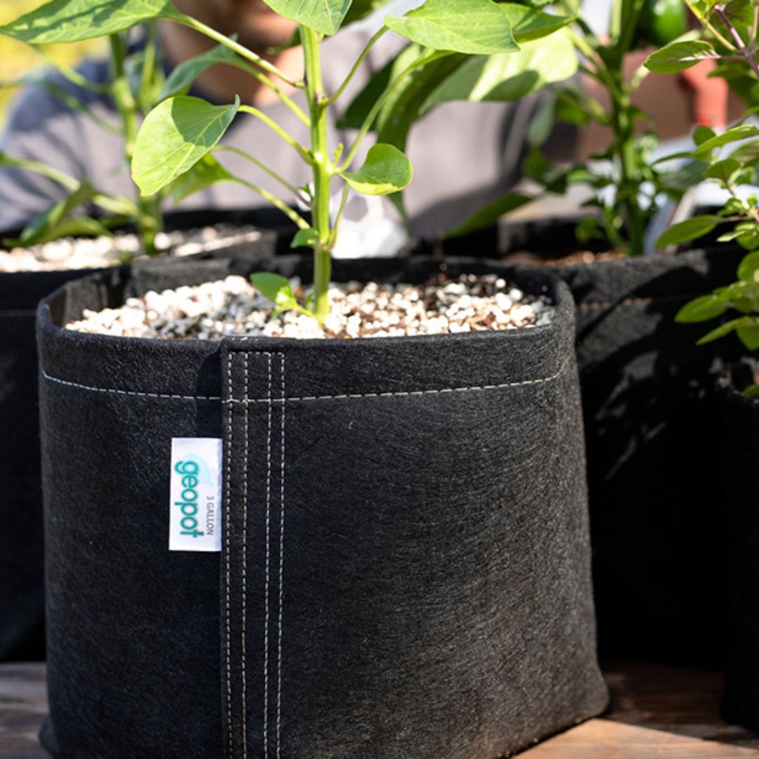 Geo Pots – Hemp Culture