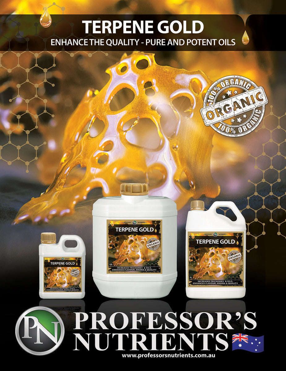 PROFESSORS NUTRIENTS Terpene Gold Organic 1l – Hemp Culture