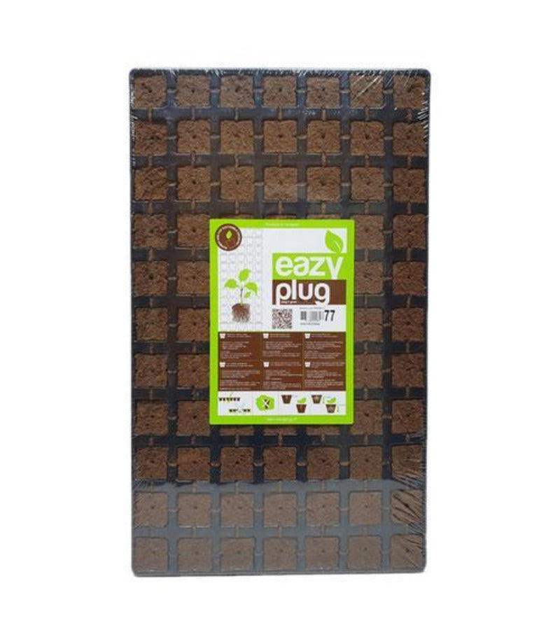 Eazy Plug Carton – Hemp Culture